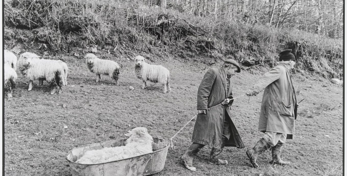 James Ravilious: An English Eye | Exhibitions | Thelma Hulbert Gallery