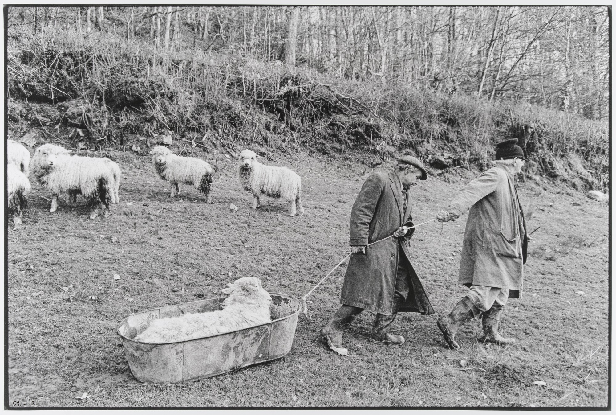 Major new exhibition to highlight photographer James Ravilious | Thelma ...