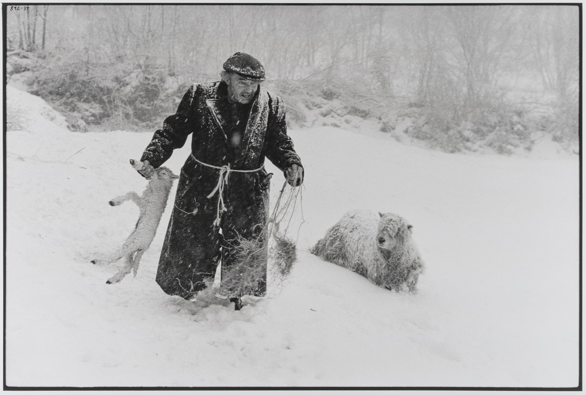 James Ravilious: An English Eye | Exhibitions | Thelma Hulbert Gallery